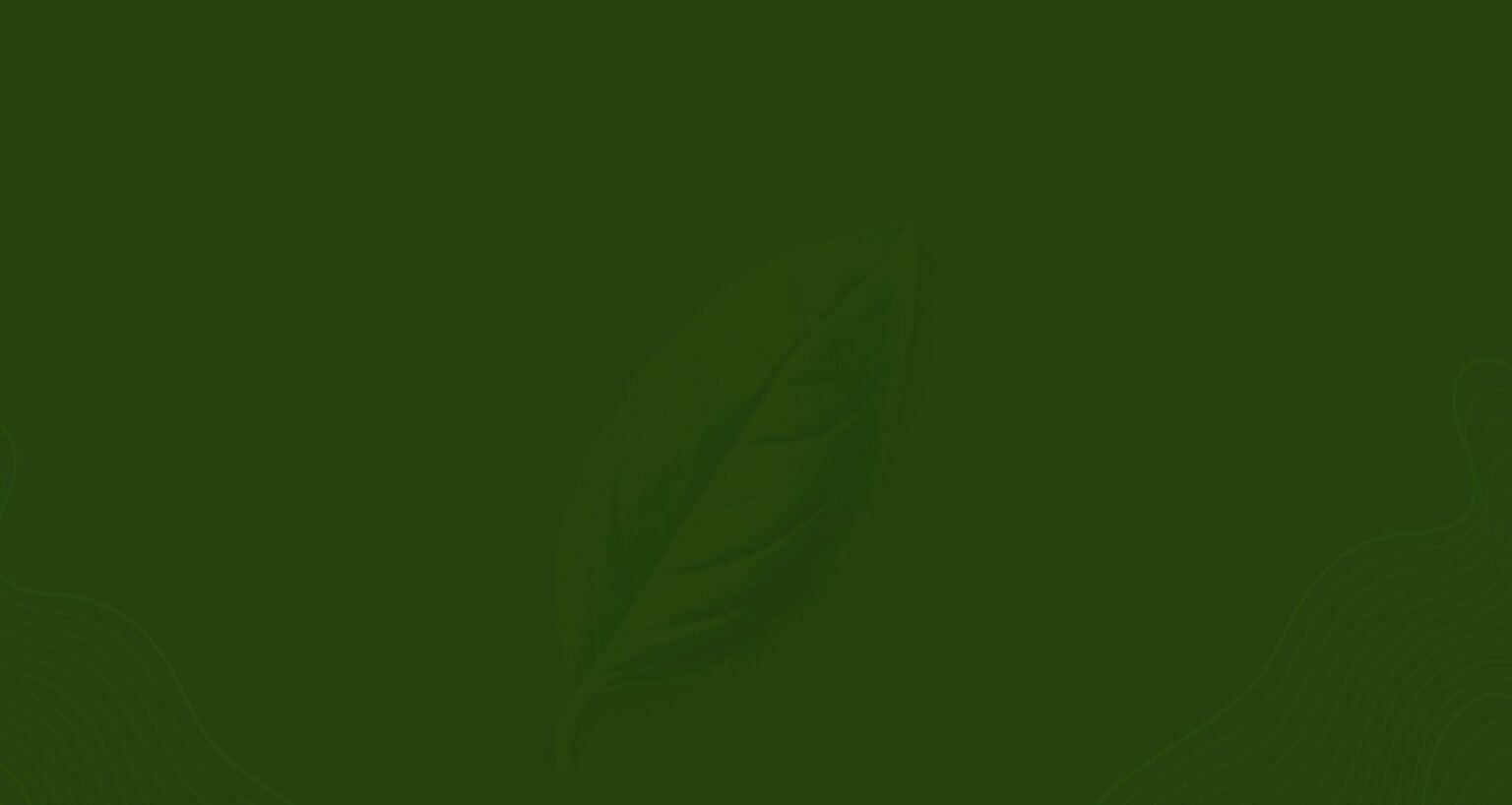 sev-bg | ZestForever